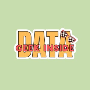 Data Geek Inside Stickers Data Science Sticker for Women,data Scientist ...