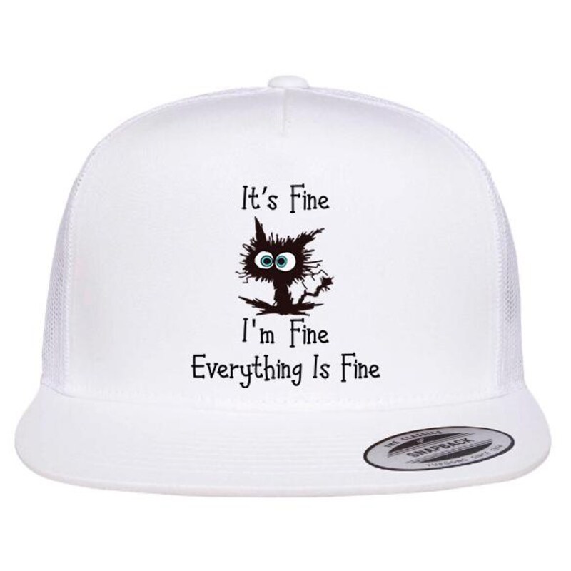 Funny Cat Hat - Etsy