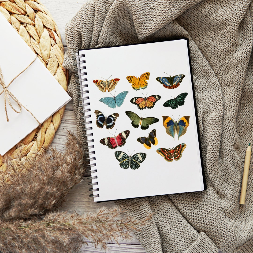Vintage Style Butterfly Notebook Boho Journal Botanical - Etsy