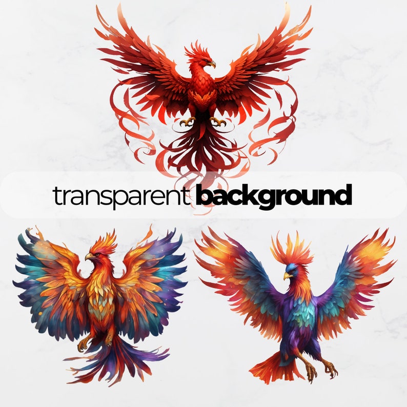 Phoenix Clipart Bundle PNG Transparent Background Phoenix Watercolor ...