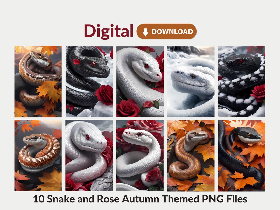 High Resolution Snake PNG Images for Graphic Designers and Artists ...