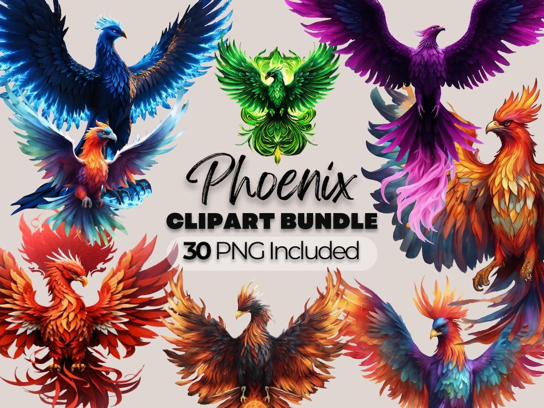 Phoenix Clipart Bundle PNG Transparent Background Phoenix Watercolor ...