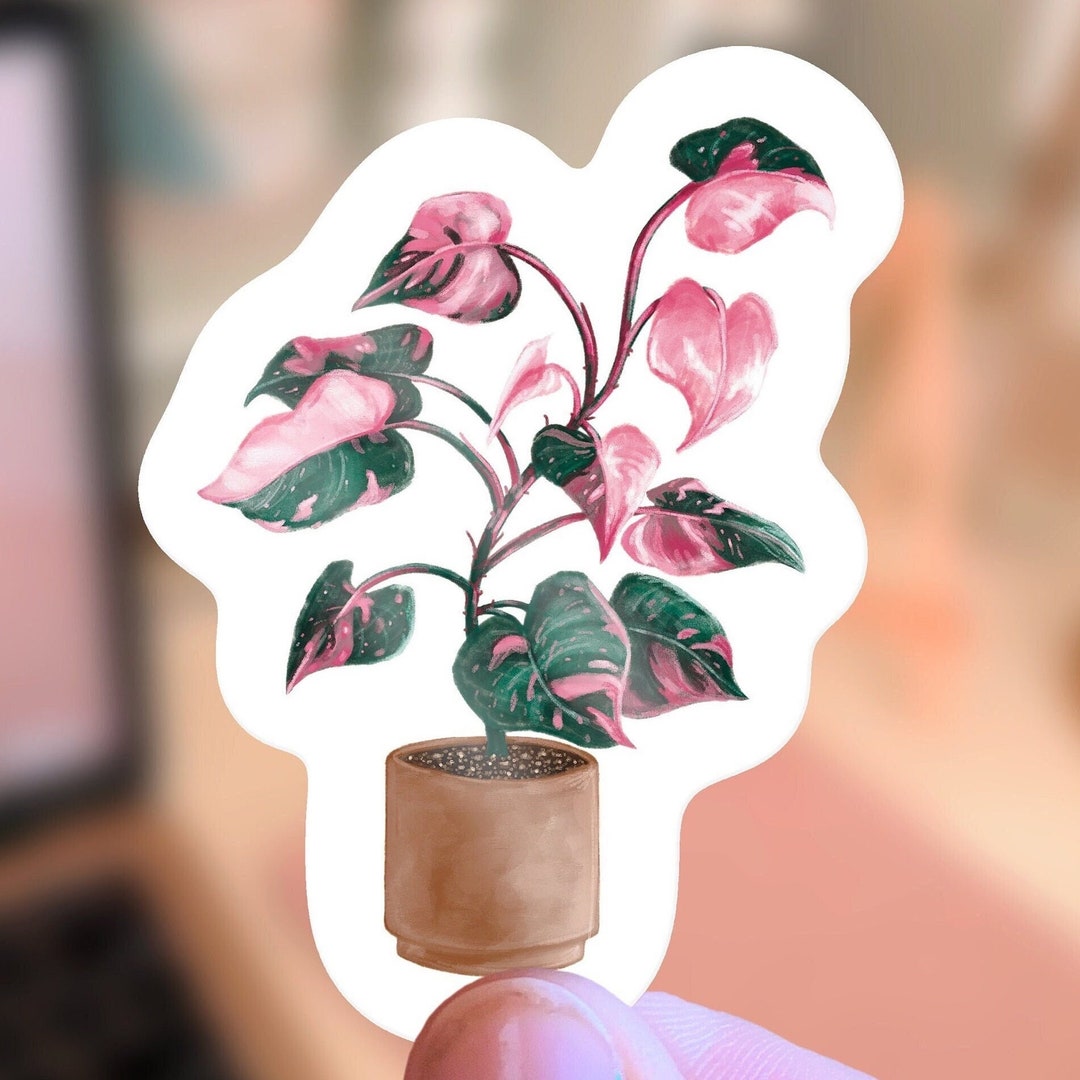 Philodendron Pink Princess Sticker. Great Gift for Her, Mom, Grandma ...