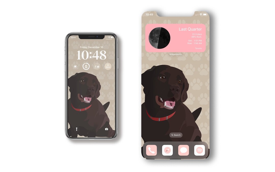 Chocolate Lab Cellphone Wallpaper Background. Digital Download Labrador ...