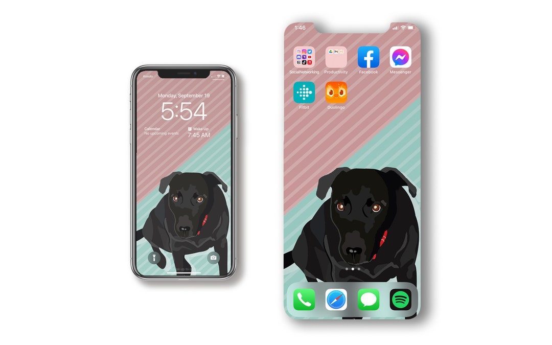 Black Labrador Cellphone Wallpaper Background. Digital Download Lab ...