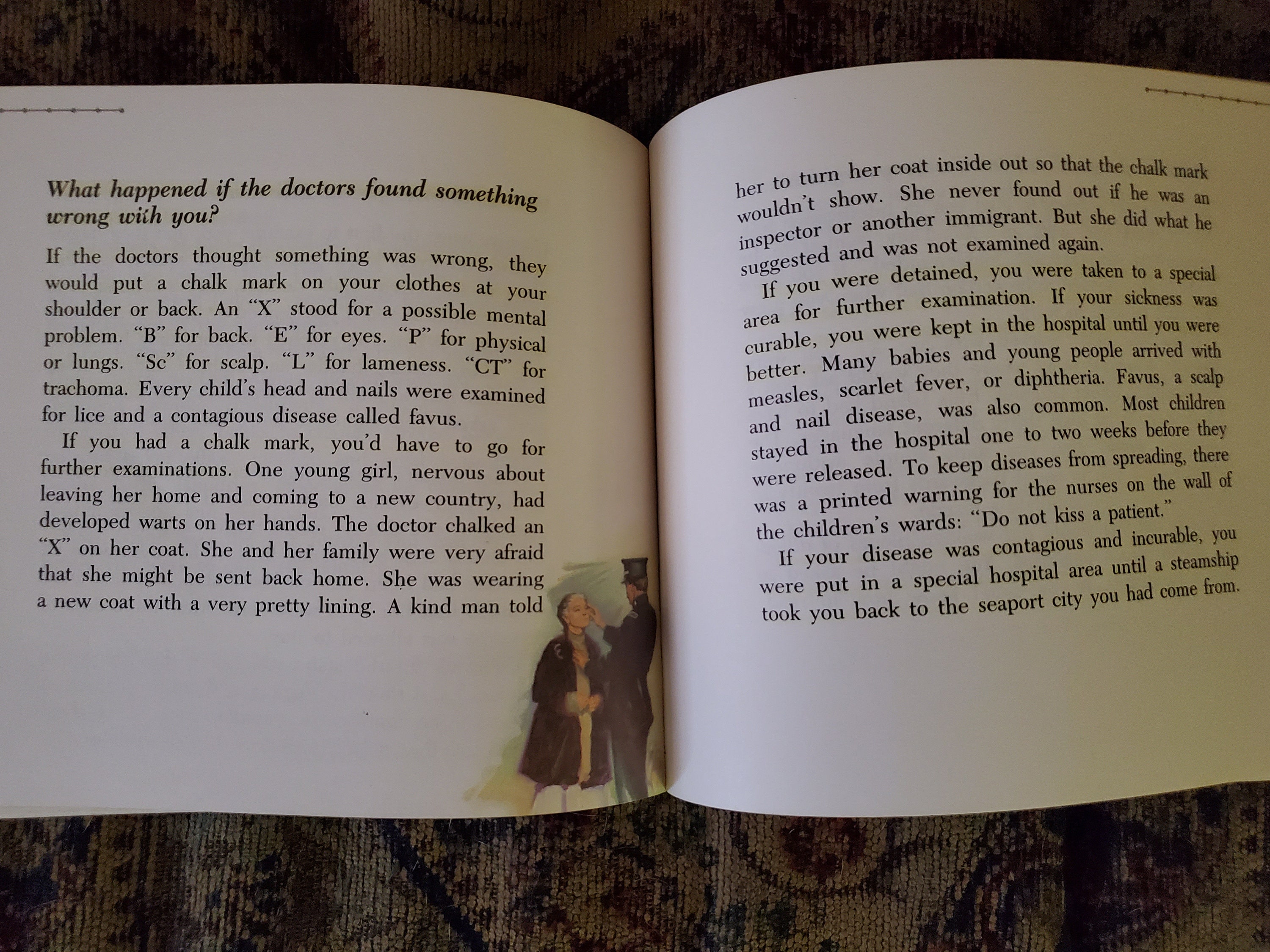 If Your Name Was Changed at Ellis Island by Ellen Levine 4 Book Set - Etsy