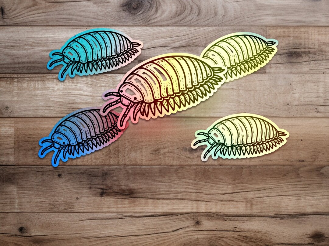 Isopod Roly Poly Isopod Shirt, Isopod Graphic T-shirt, Bug Enthusiast ...