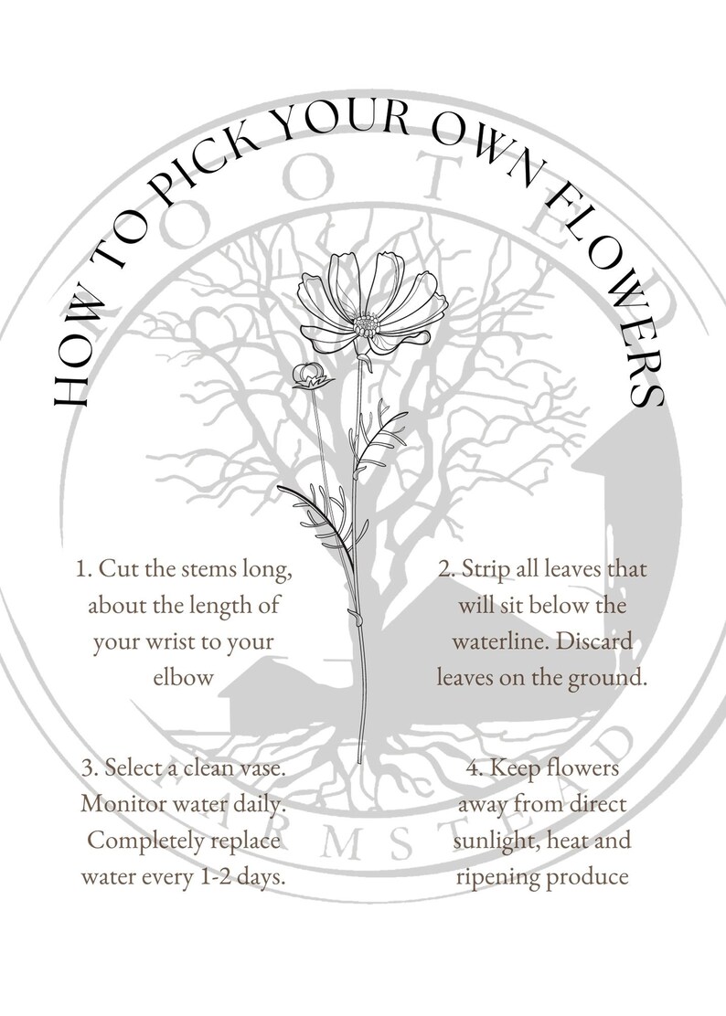 How to Pick Your Own Flowers Instructions Tutorial Hand Out - Etsy