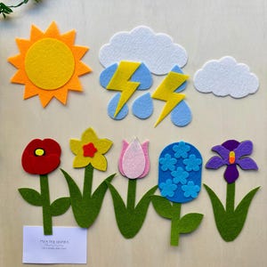5 Little Flowers Felt Story, Spring, Weather, Flowers, Flannel Board ...