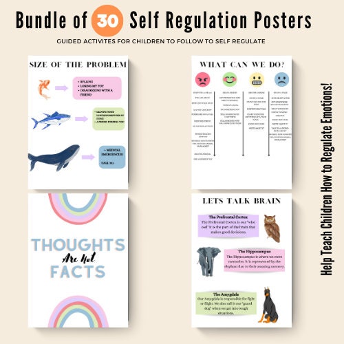 30 Printable Self Regulation Posters, Calm Corner Prints, Emotional ...