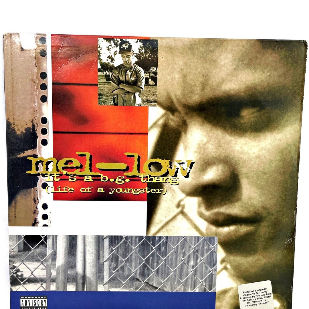Mel Low It's A B.G. Thang LP Poppa C 6971240451 US 1995 Promo Record - Etsy