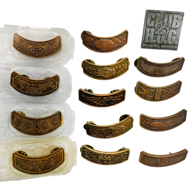 Harley Davidson HOG Lot 35 Pins Patches 2002-2015 Owners Group & Extras ...