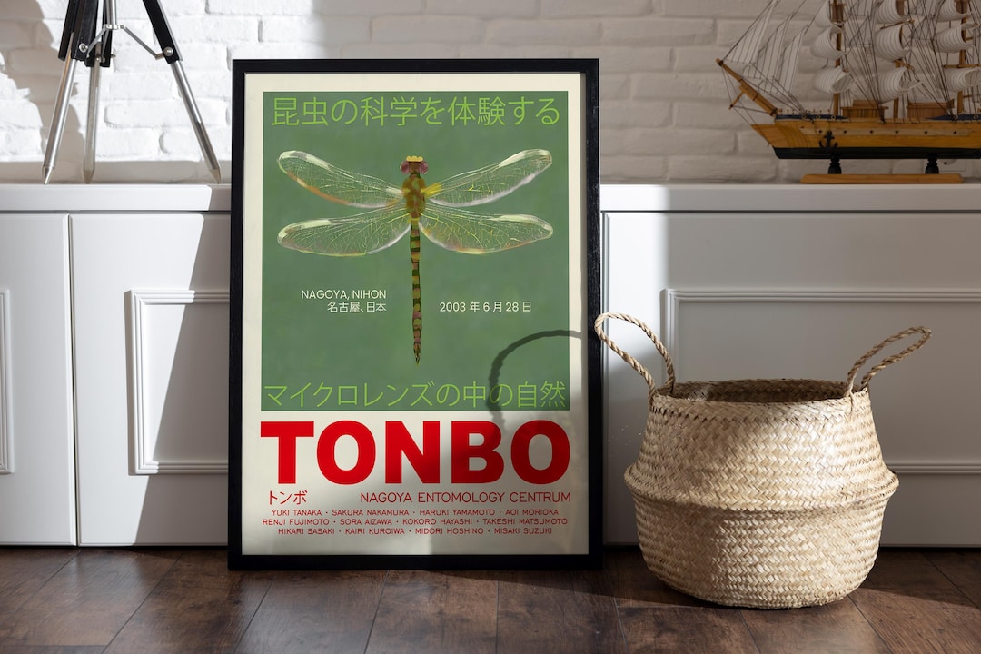 Classy Wall Art Room Decor, Dragonfly Delight, Tonbo 2003 Nagoya Nihon ...