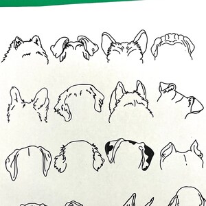 Dog Ear Blank Coloring Sheet (20) - Etsy