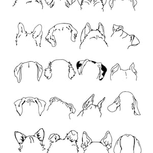 Dog Ear Blank Coloring Sheet (20) - Etsy