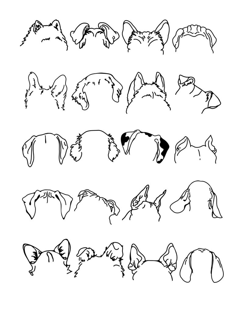 Dog Ear Blank Coloring Sheet (20) - Etsy