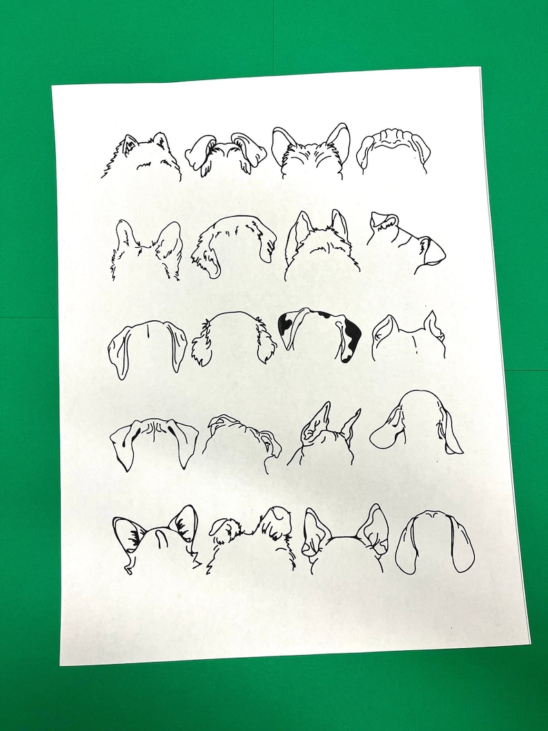 Dog Ear Blank Coloring Sheet (20) - Etsy