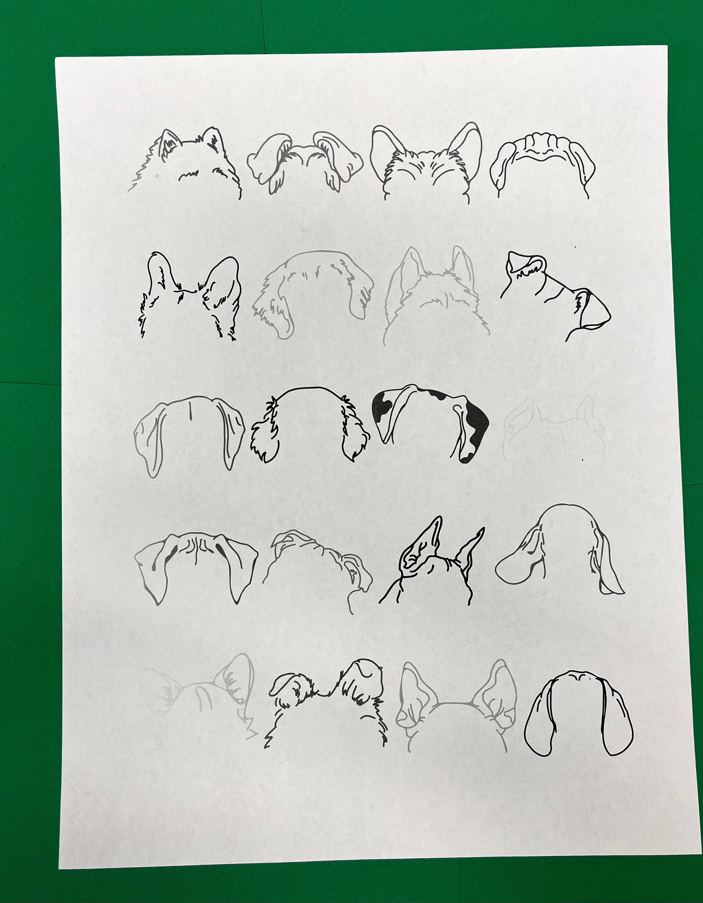 Colorful Dog Ears Outline - Etsy