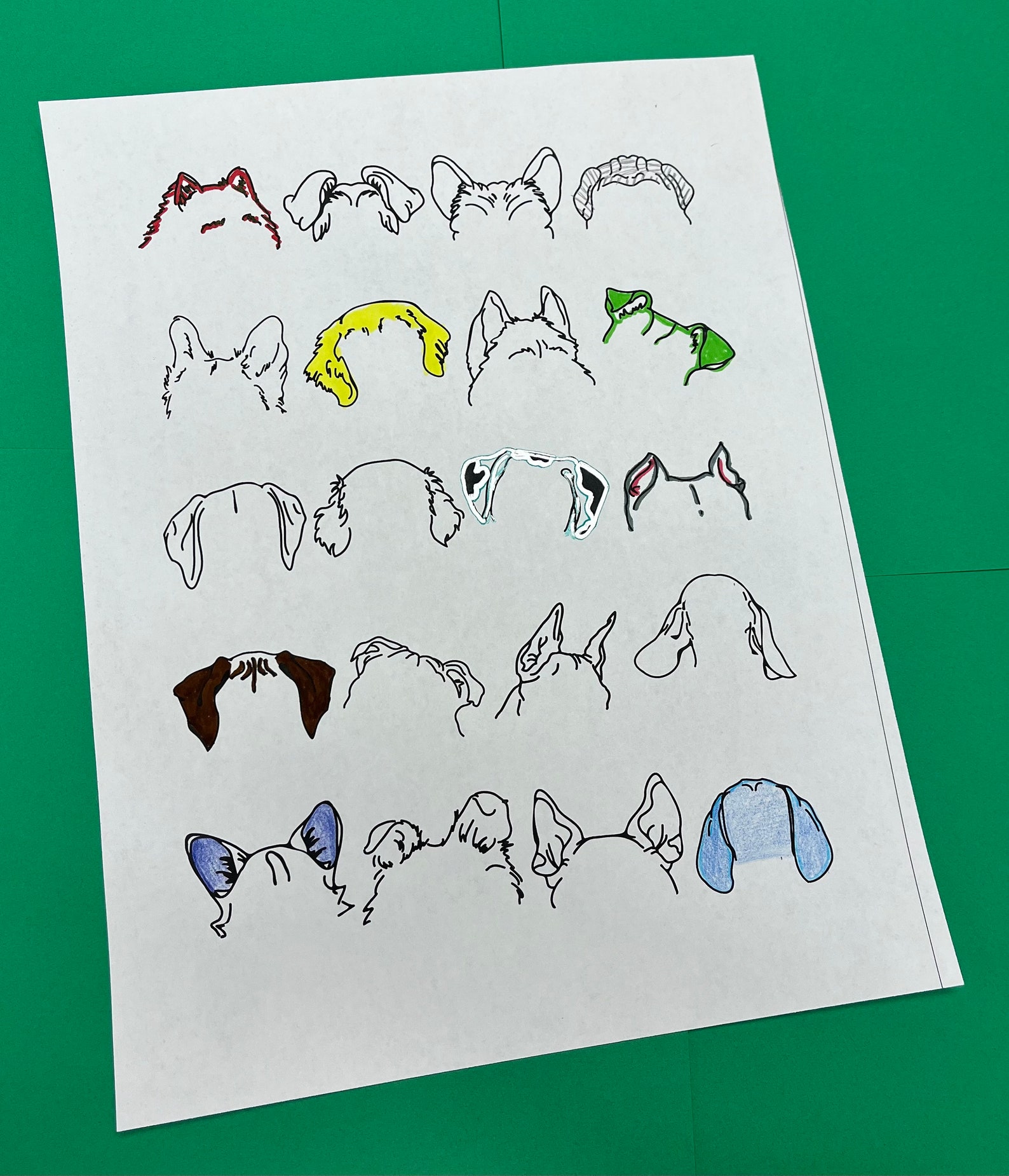 Dog Ear Blank Coloring Sheet (20) - Etsy