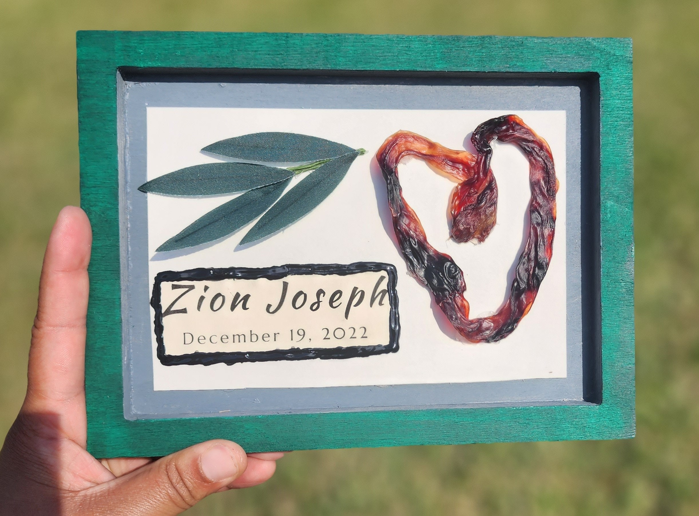 Umbilical Cord Keepsake - Etsy