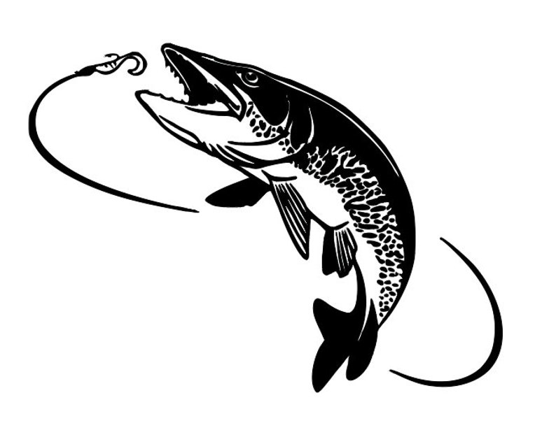 Muskie/ Muskie Decal/ Car Decal/ Customized Muskie Decal - Etsy