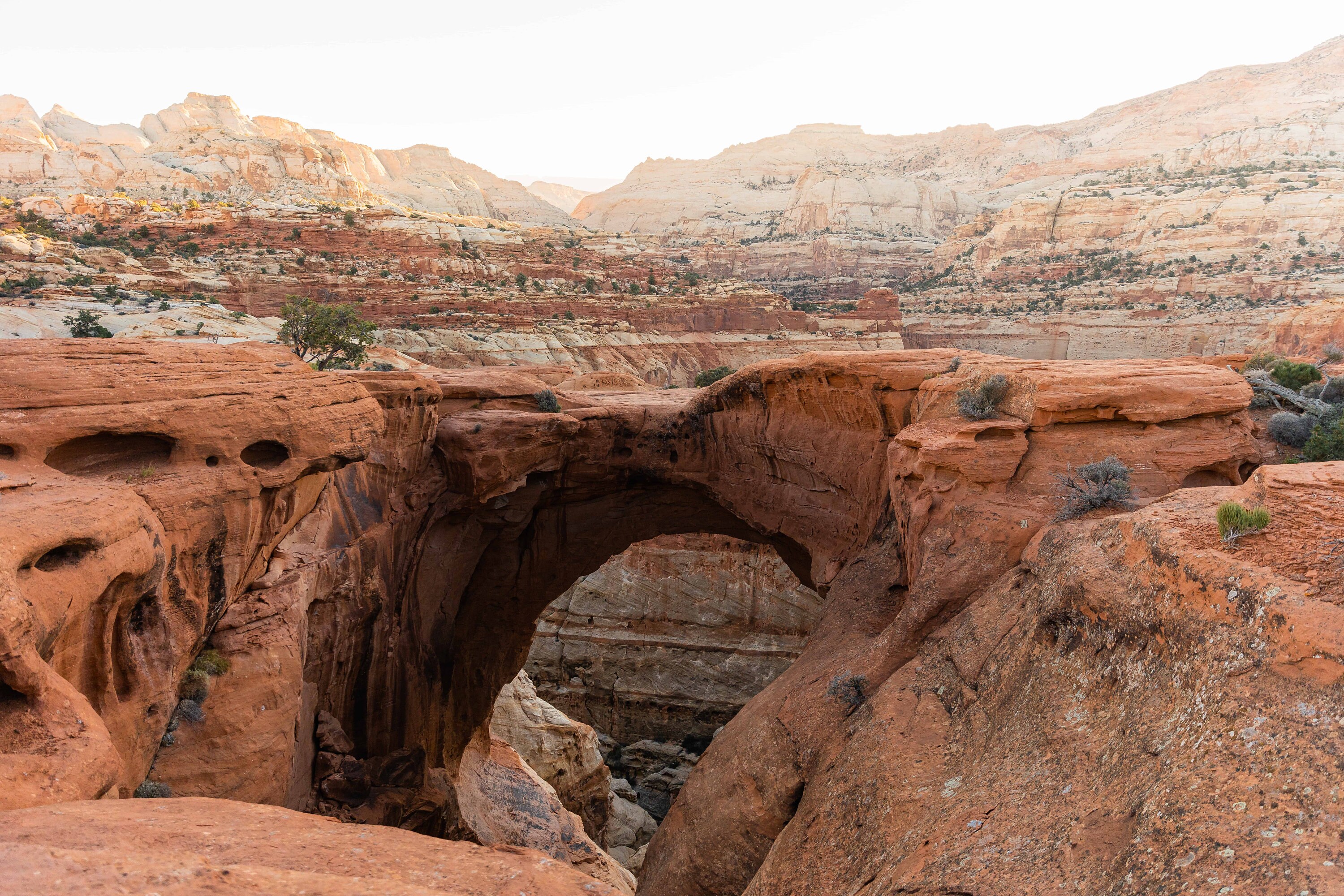 Capitol Reef Sunrise File Utah Wall Art Landscape Photography Instant ...