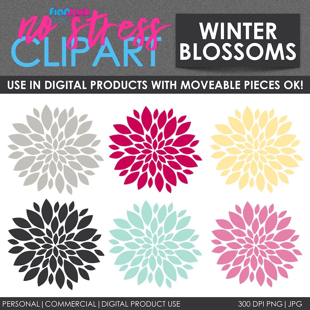Winter Flowers Clip Art (digital Use Ok!) - Etsy