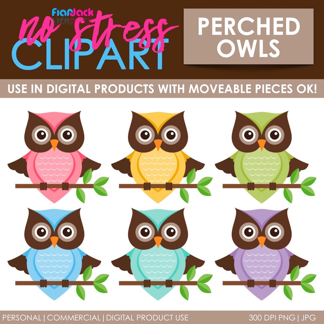 Owls Clip Art (digital Use Ok!) - Etsy