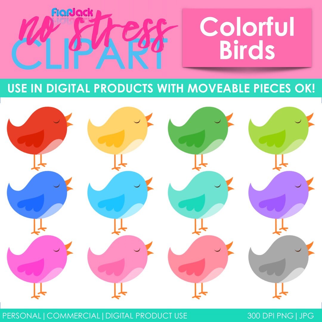 Birds Clip Art (digital Use Ok!) - Etsy