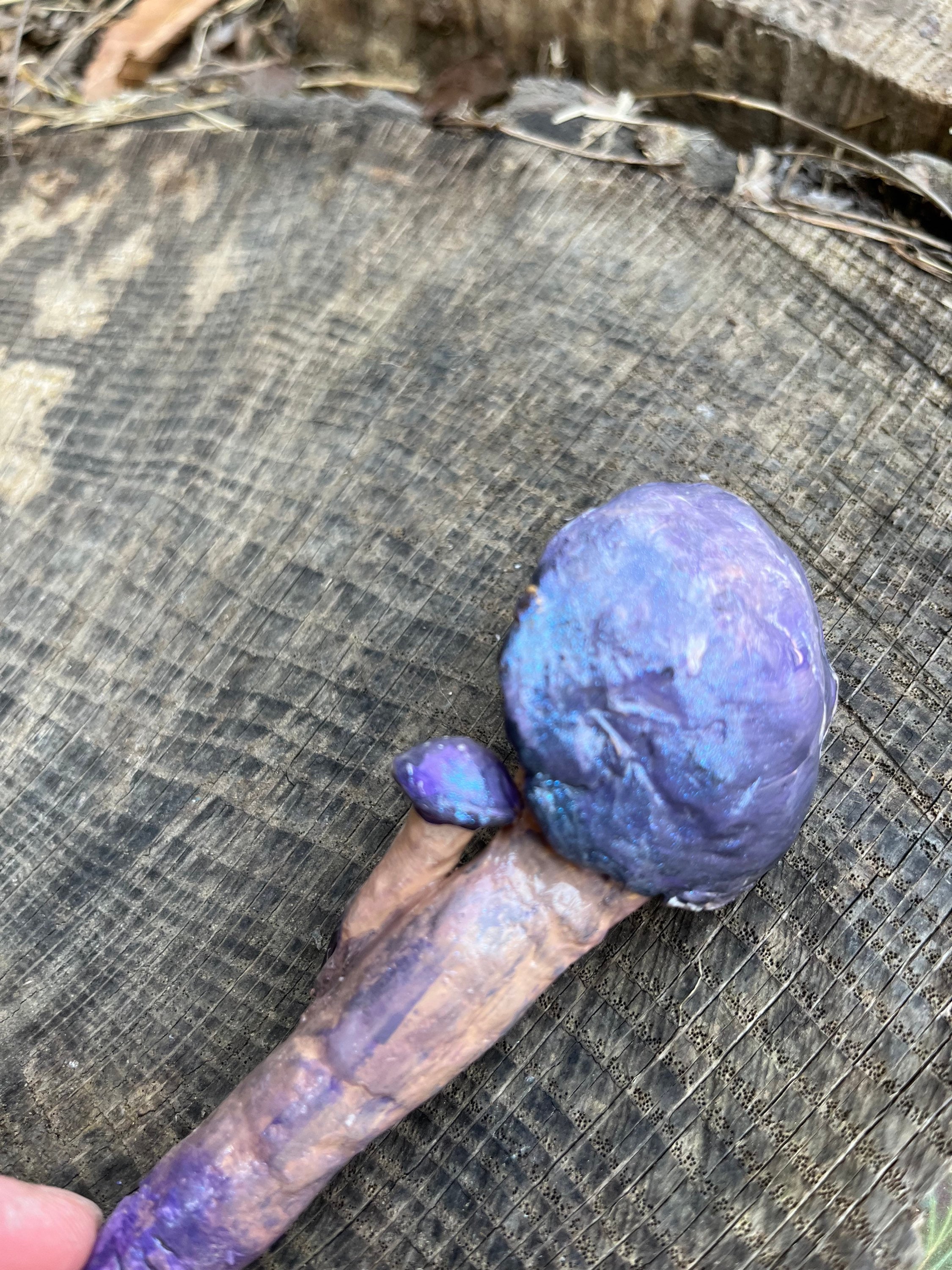 Mushroom Pipe - Etsy