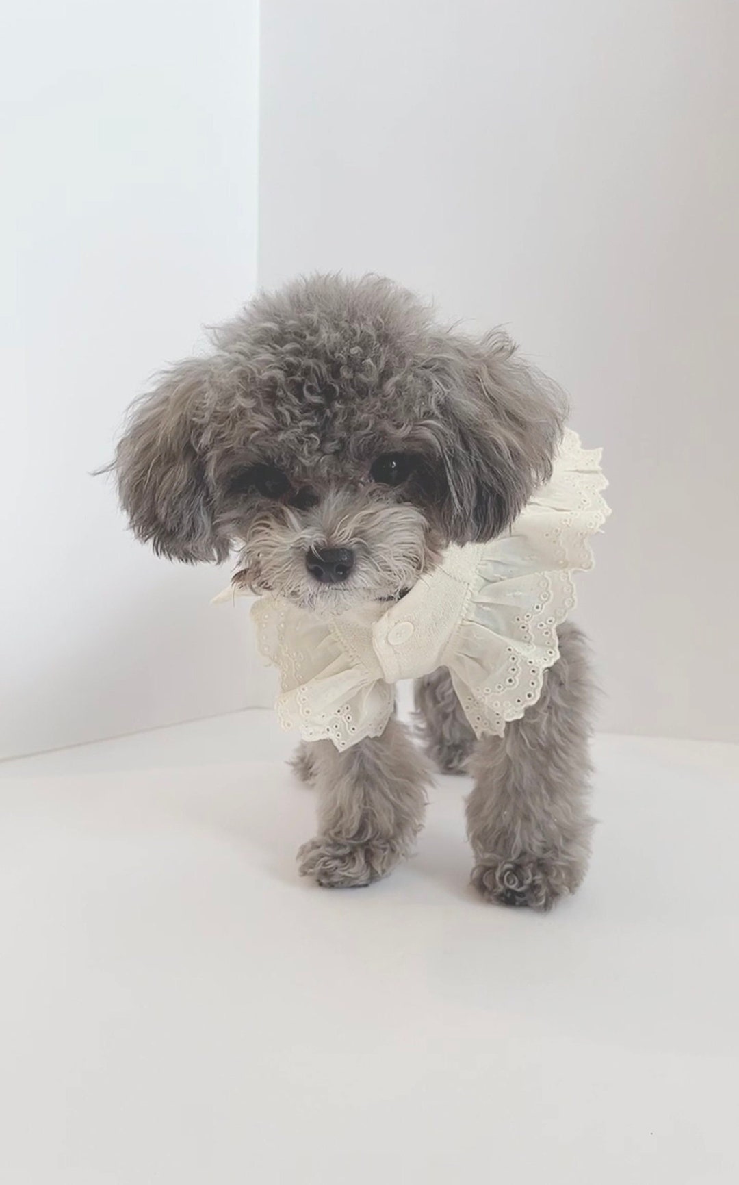 Princess Vest - Etsy