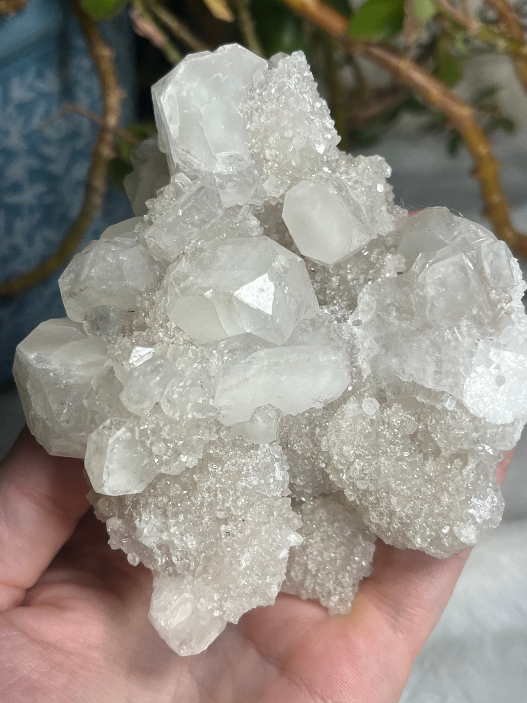 Apophyllite and Quartz Cluster | Clear Apophyllite With ...
