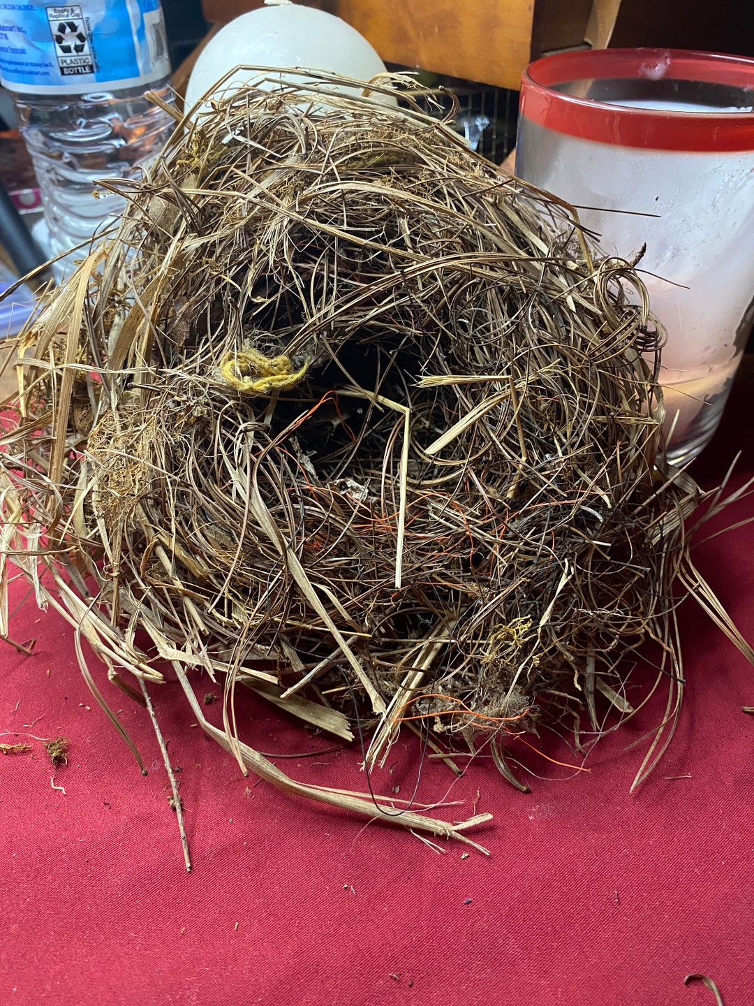 Real Bird’snest Cottage Core/crow Core Decor - Etsy