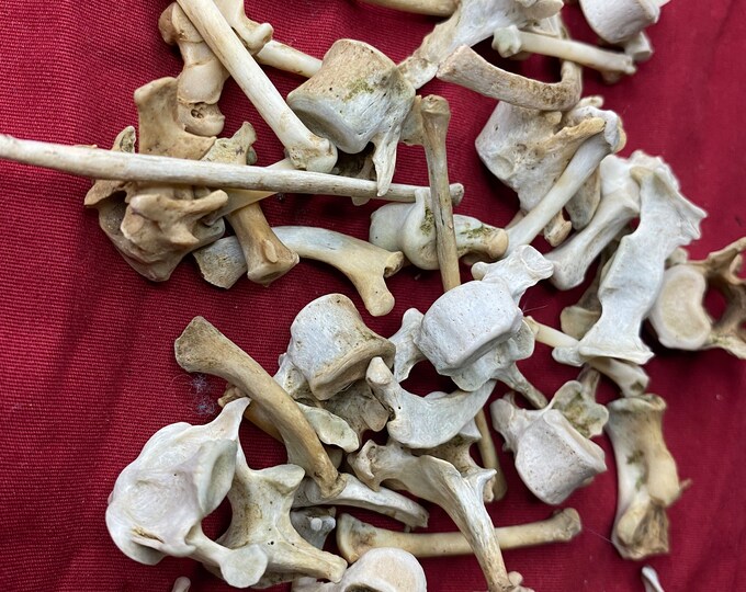 Little Bones Crafters Mixed Bag 40 Pieces Stock No. 1-89 - Etsy