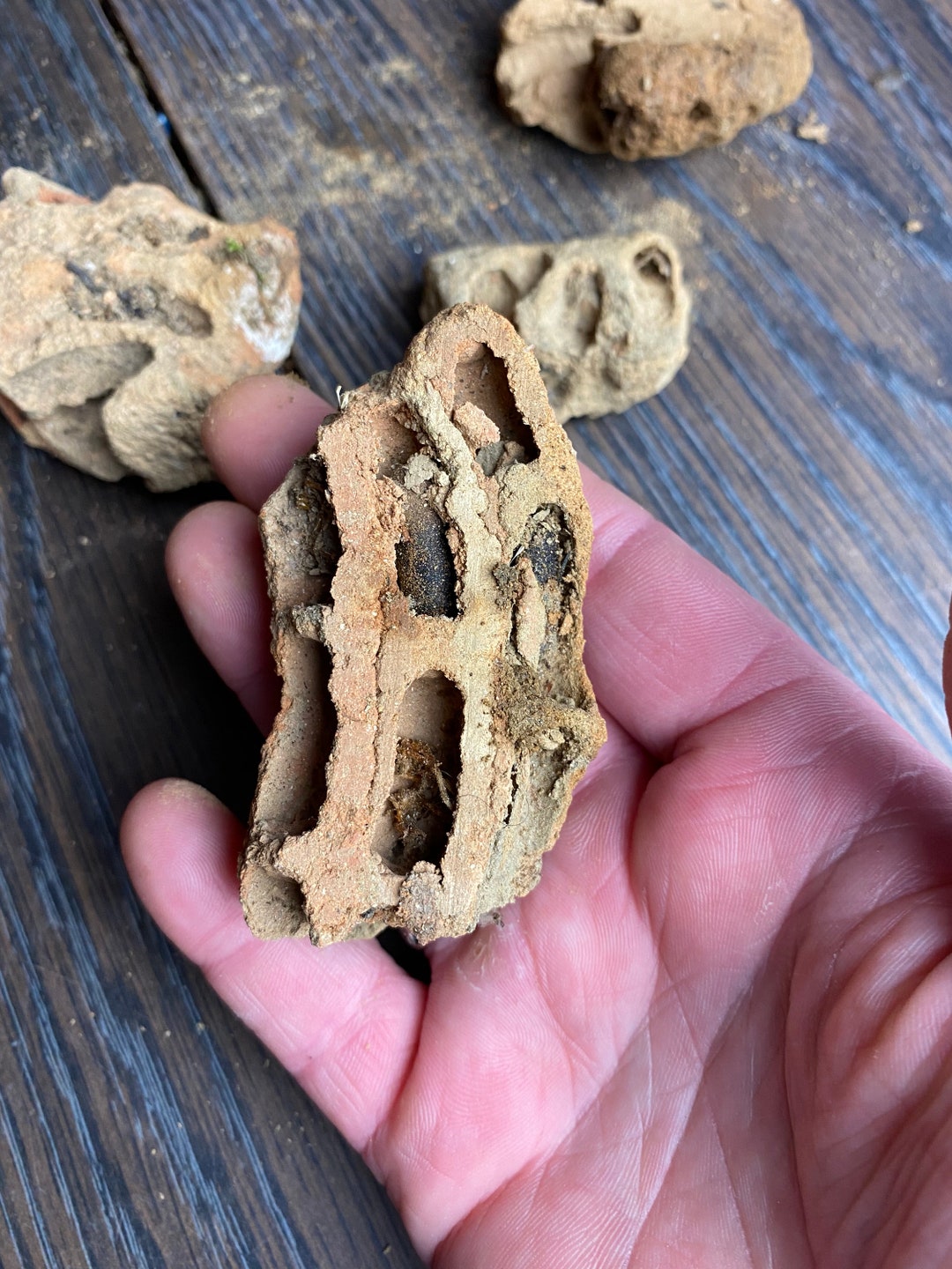 Red Clay Dirt Dobber Nests - Etsy