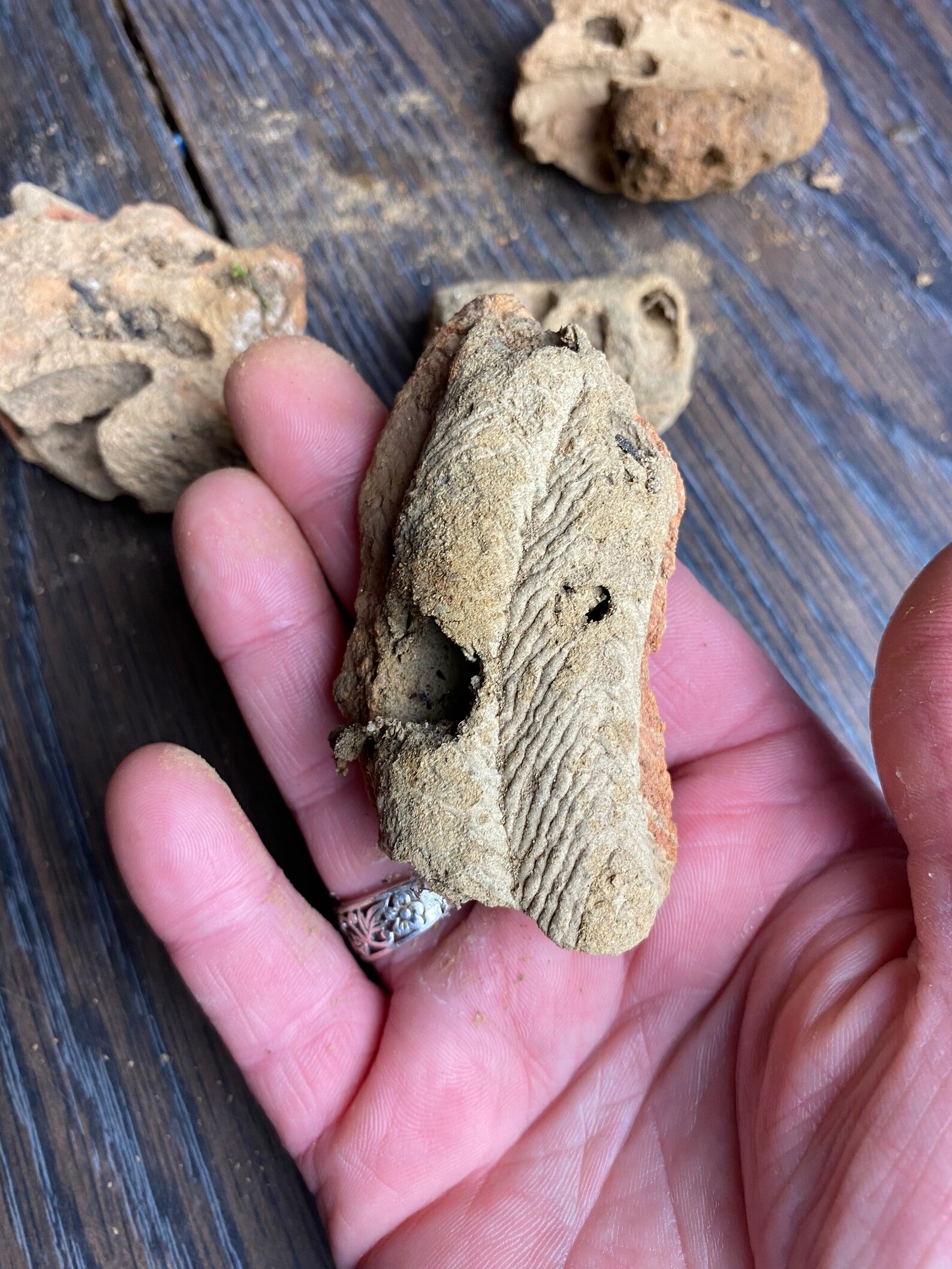 Red Clay Dirt Dobber Nests - Etsy