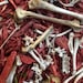 Small Bone Mystery Box - Etsy