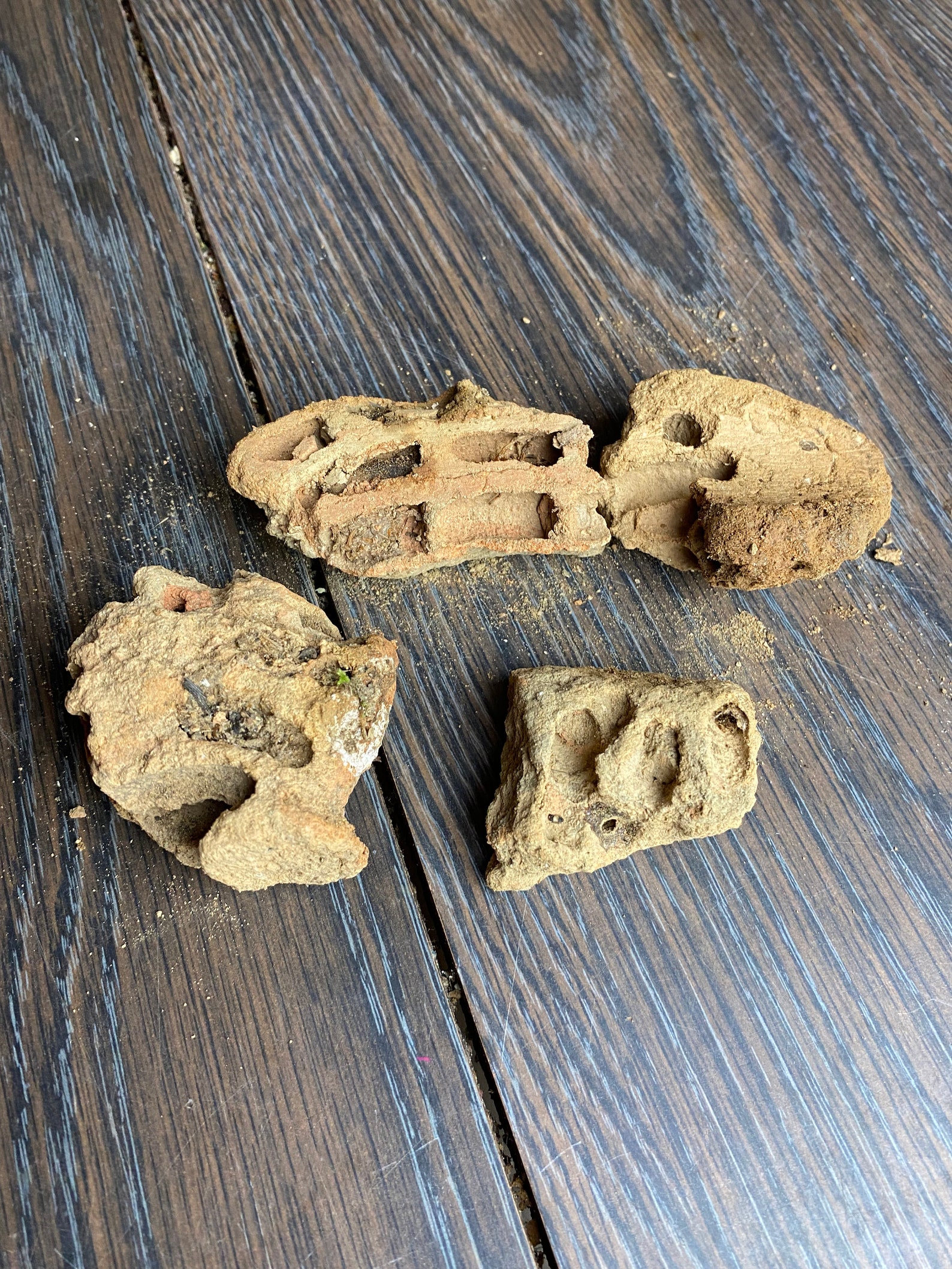 Red Clay Dirt Dobber Nests - Etsy
