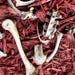 Small Bone Mystery Box - Etsy