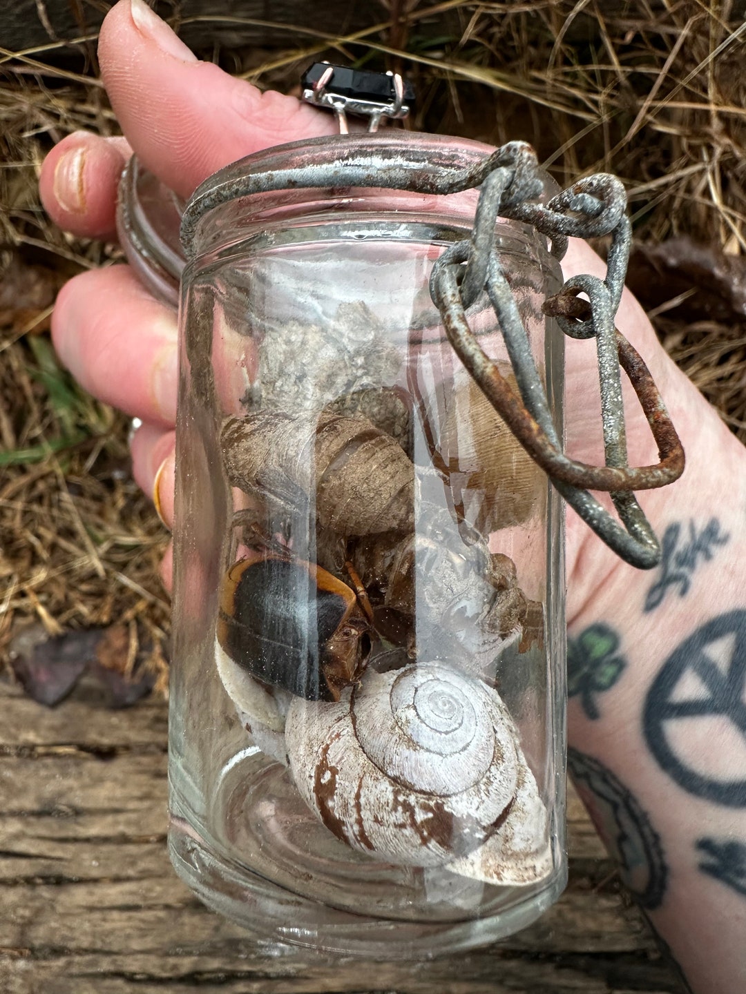 The Oddity Jar - Etsy