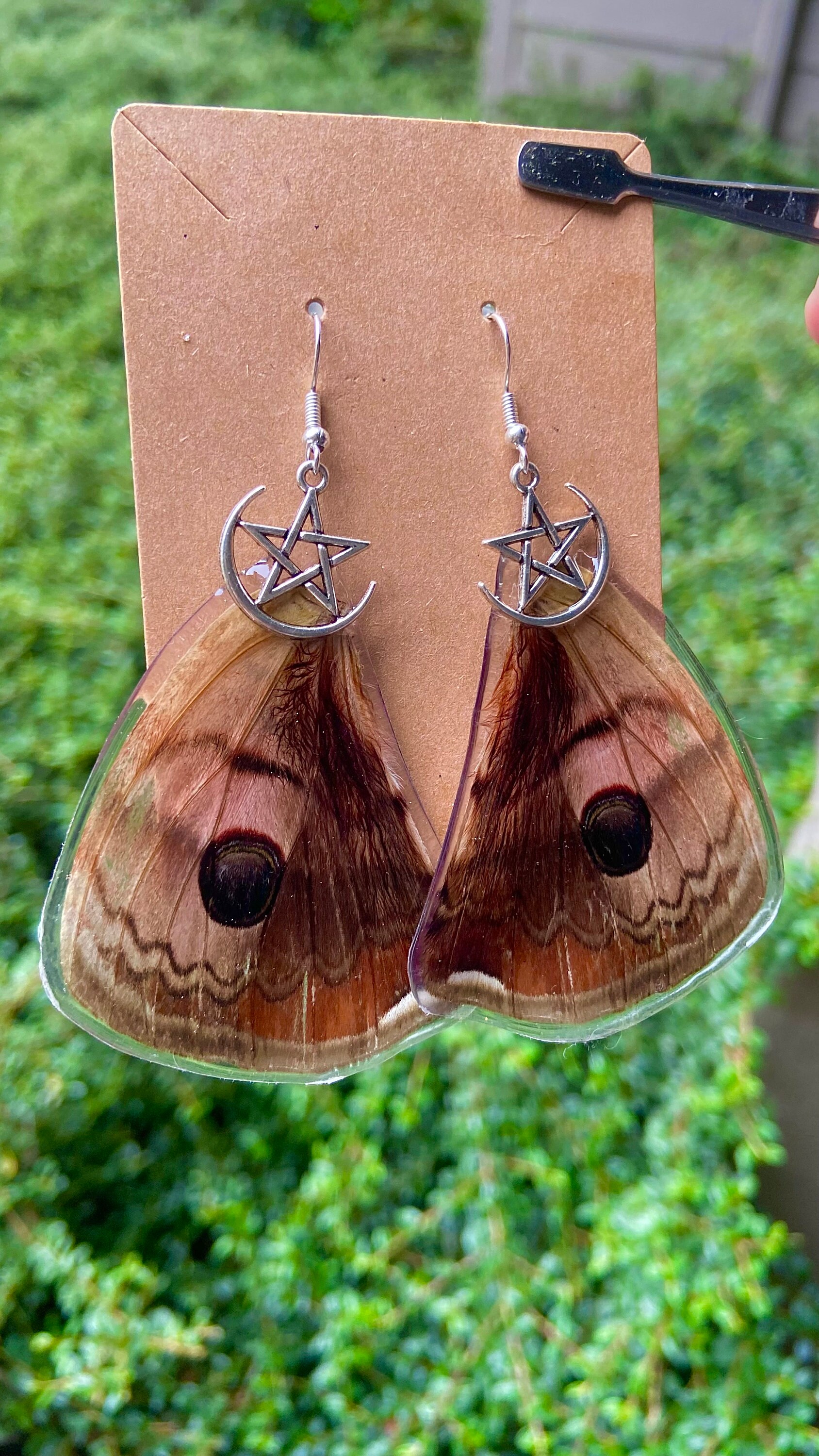 Handmade REAL Saturniidae Moth Wing Earrings resin Casted - Etsy
