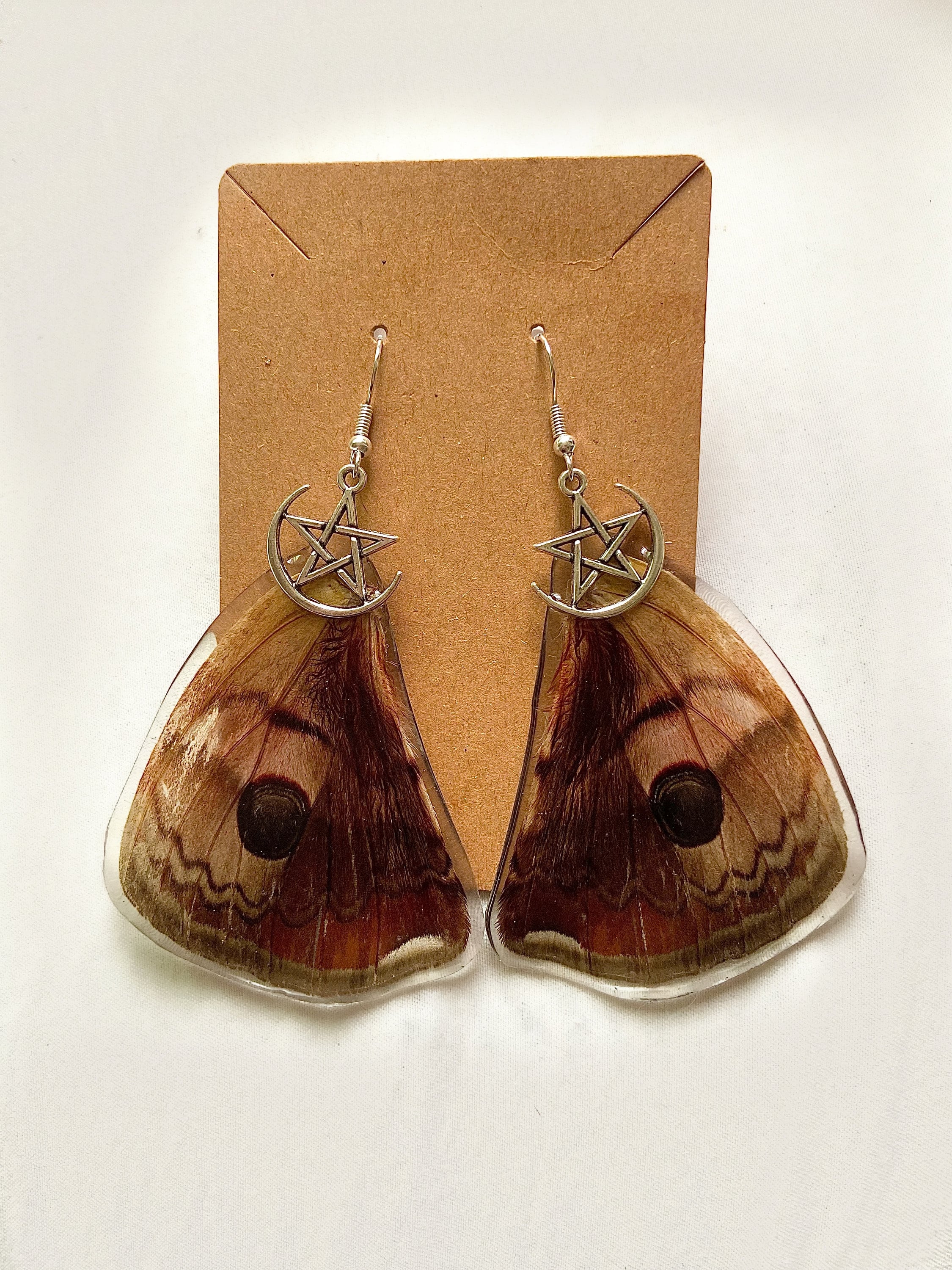 Handmade REAL Saturniidae Moth Wing Earrings resin Casted - Etsy