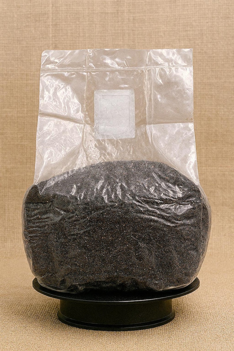Sterilized Coco Coir Mushroom Substrate: Ready to Use (5lb CVG Blend ...
