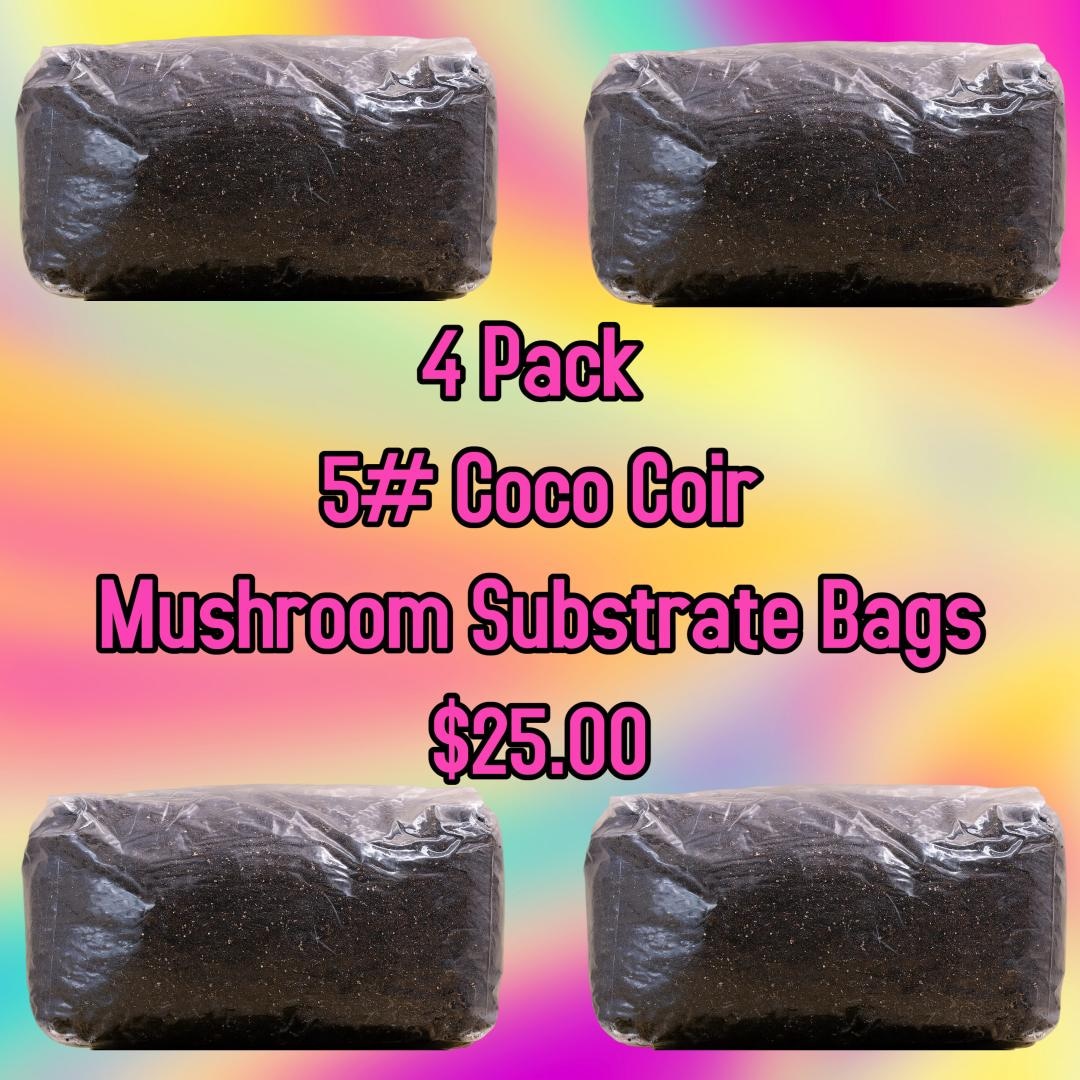 4 PACK- Ready to Use Coco Coir Mushroom Substrate 5lb (CVG) - Etsy