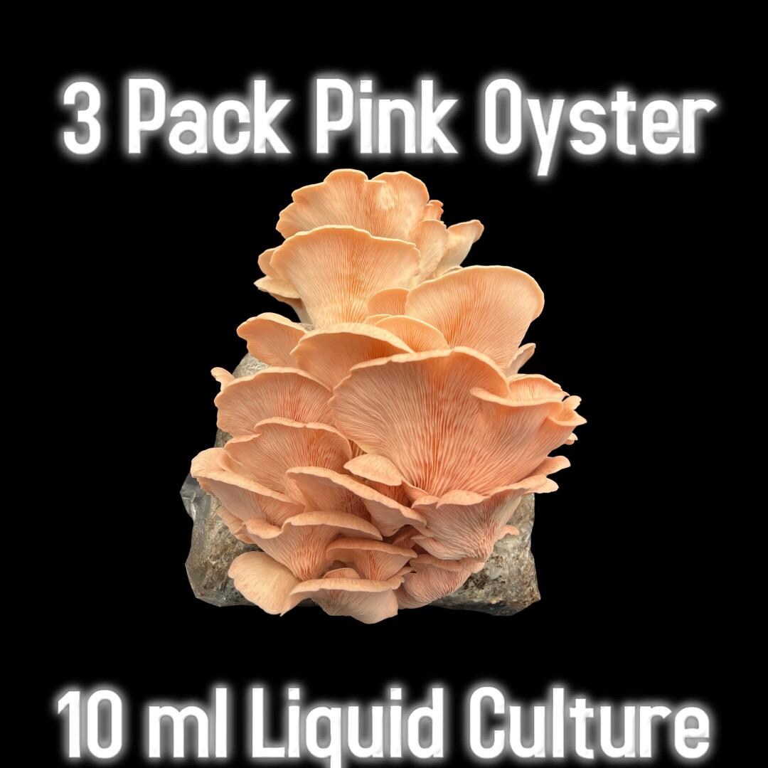 3 Pack Pink Oyster Liquid Culture 10ml Syringe - Etsy