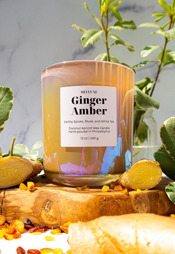 Ginger Amber Modern Asian Scents Coconut Apricot Wax Candle - Etsy