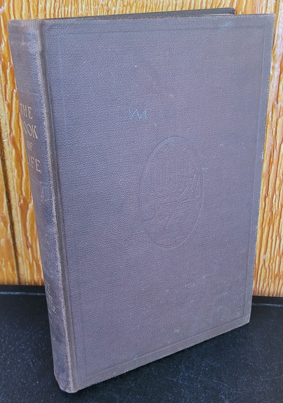 The Book of Life Vol Six Life of the Master 1925 Vintage Religious ...