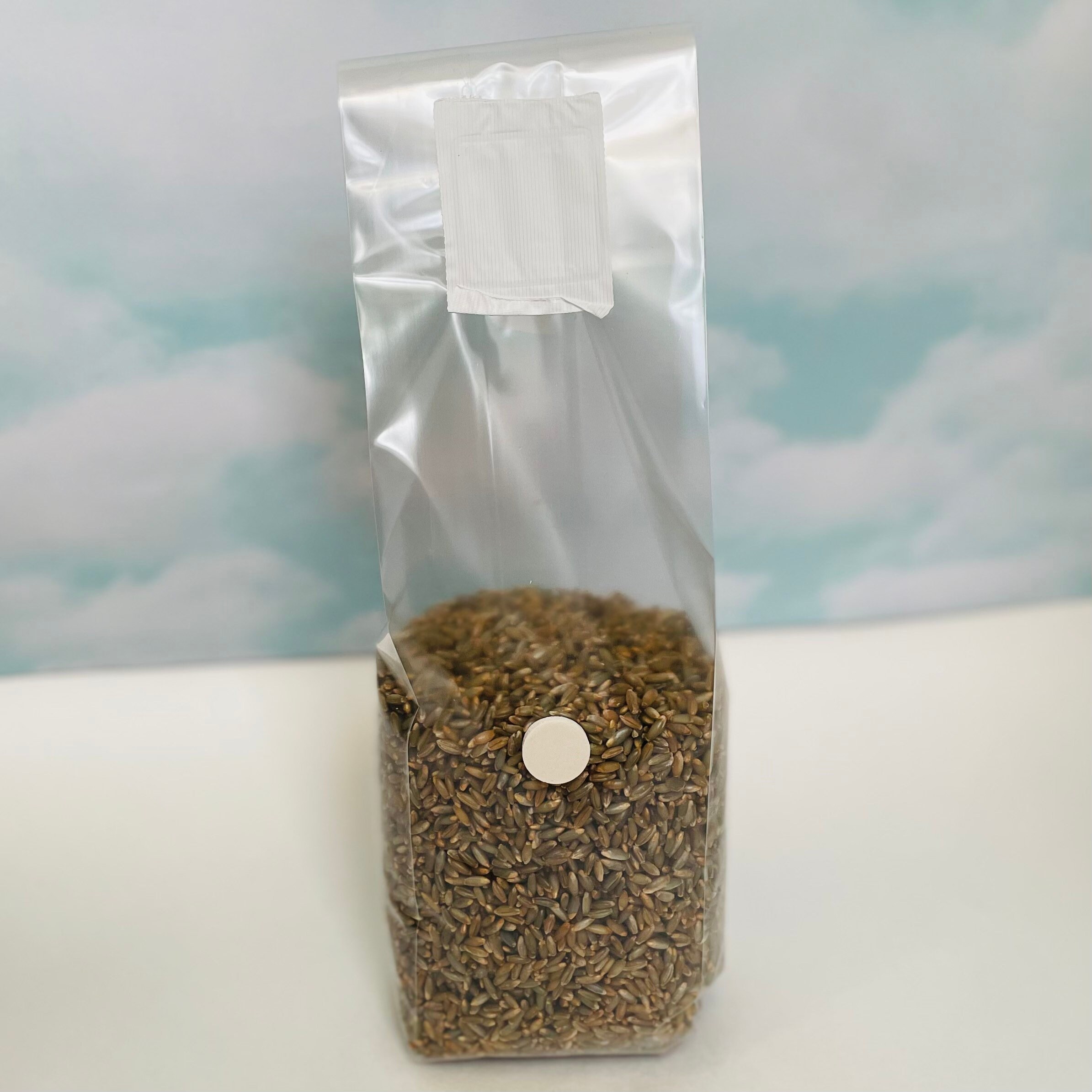 Organic Grain Spawn Fast Colonizing Rye Berries Self - Etsy