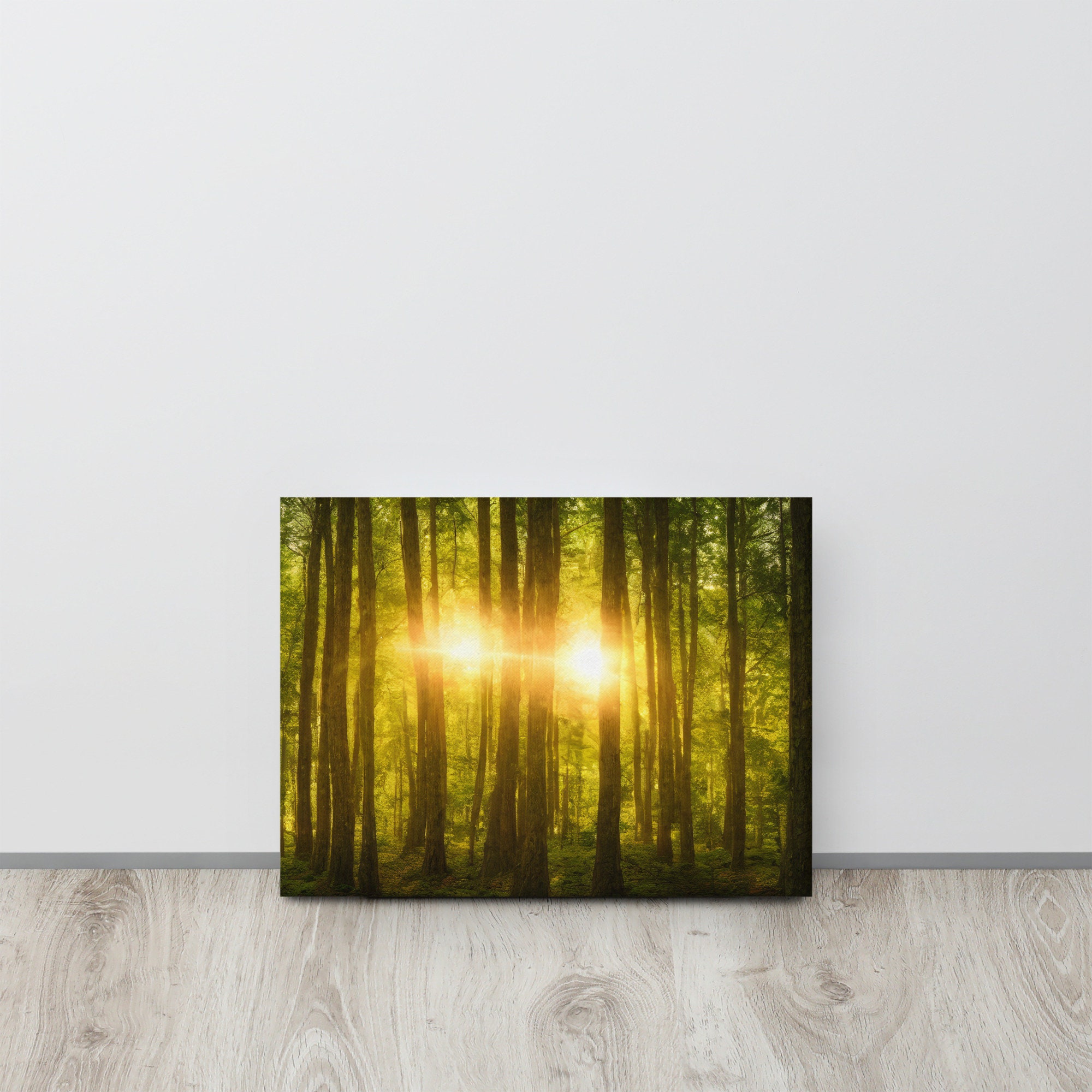 Morning Sun Rays, Forest Pathway, Branches, Trees Scenery of Nature ...