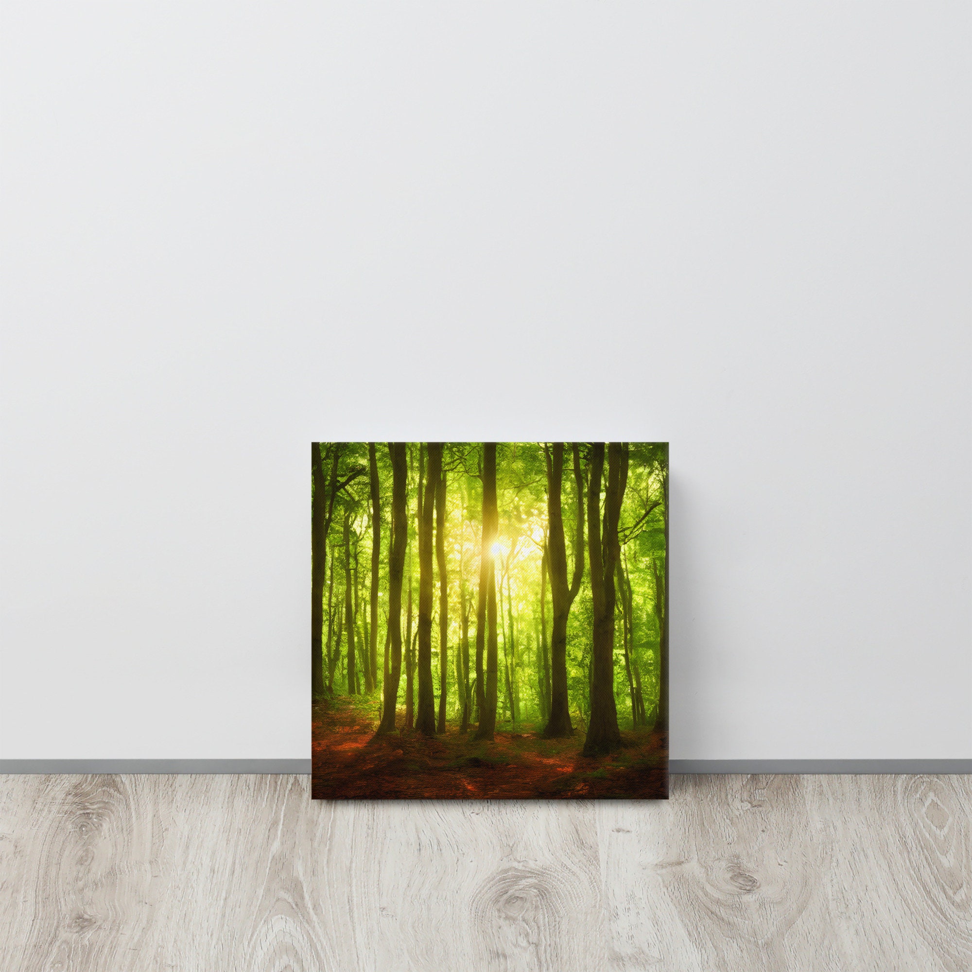 Morning Sun Rays, Forest Pathway, Branches, Trees Scenery of Nature ...